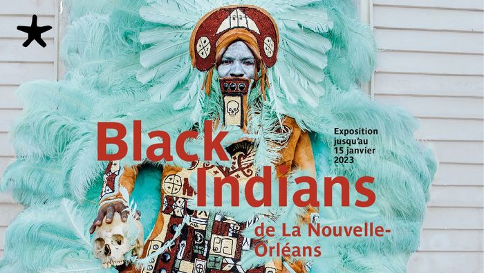 Exposition - Black Indians au musée du Quai Branly | Alliance française ...