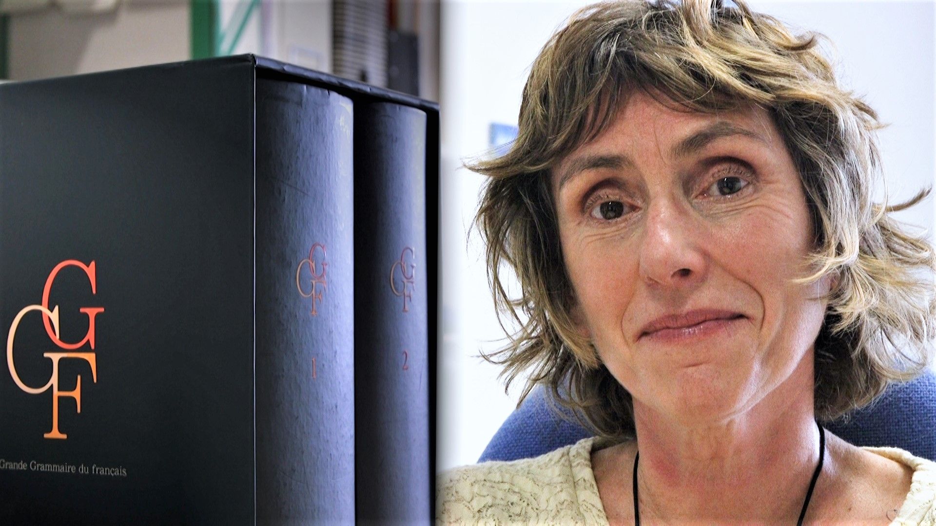 Rencontre : Quelle grammaire pour la francophonie ? | Alliance ...