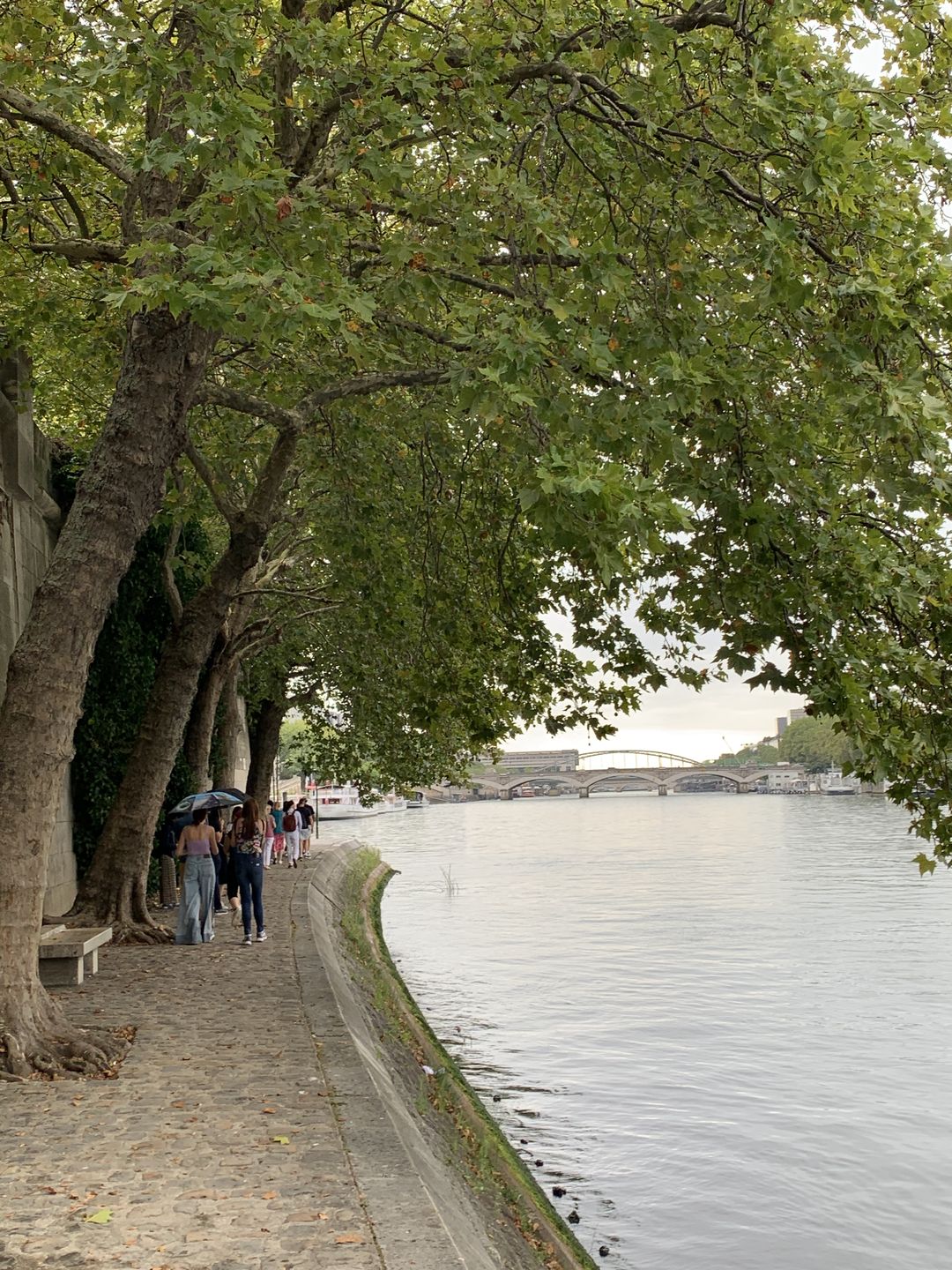 Visita guiada : La isla de Saint-Louis como un auténtico habitante ...