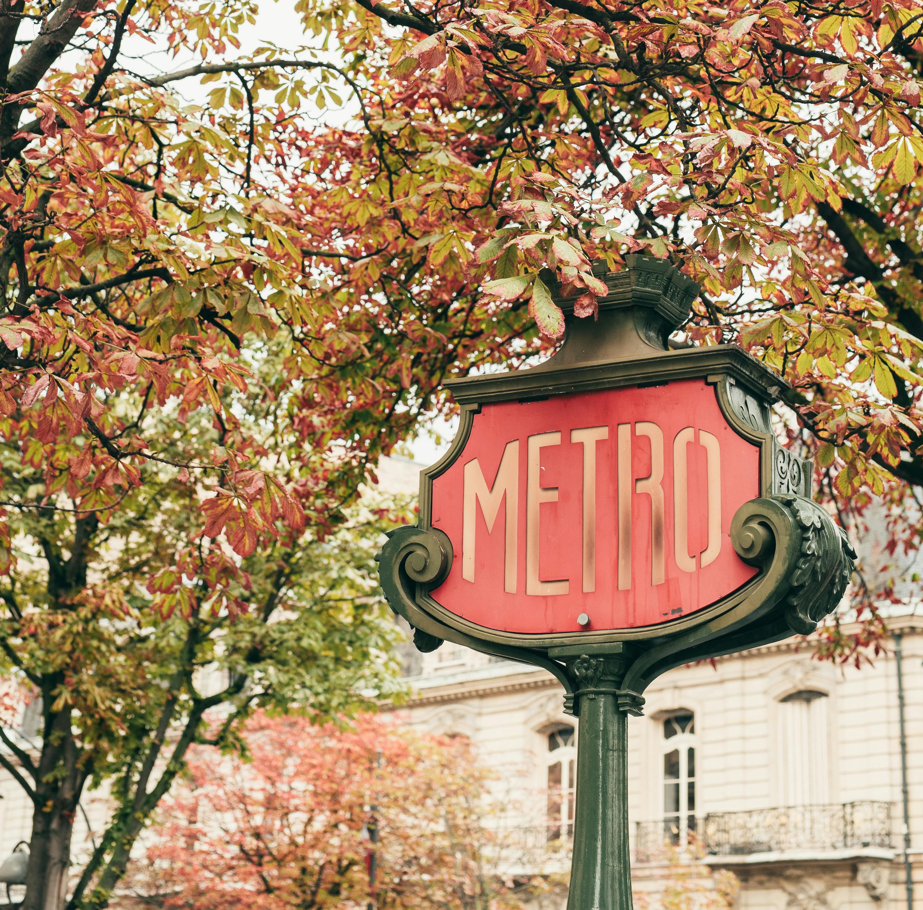 What to do in Paris this fall? | Alliance française de Paris